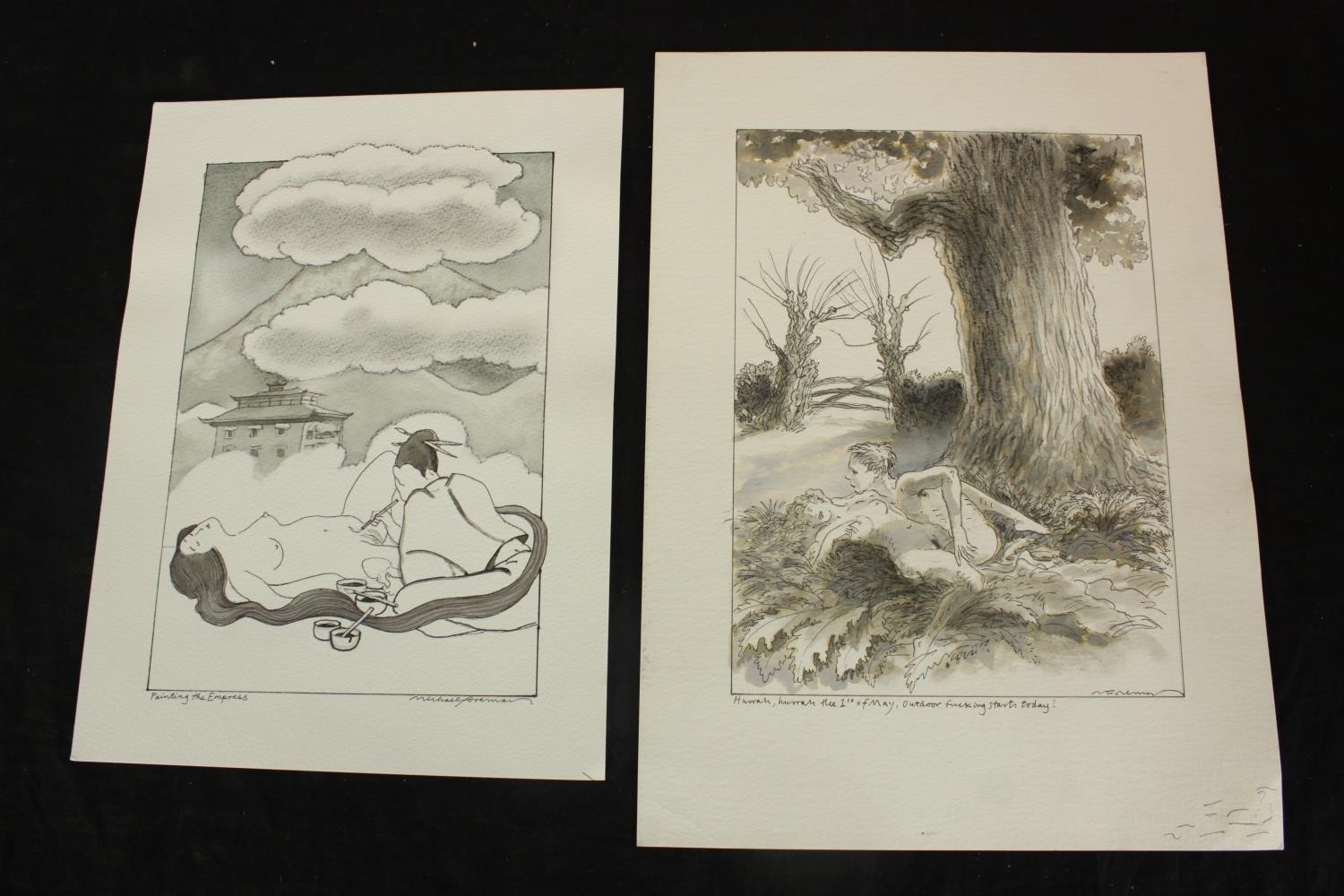 Michael Foreman | Viking shipwreck | MutualArt