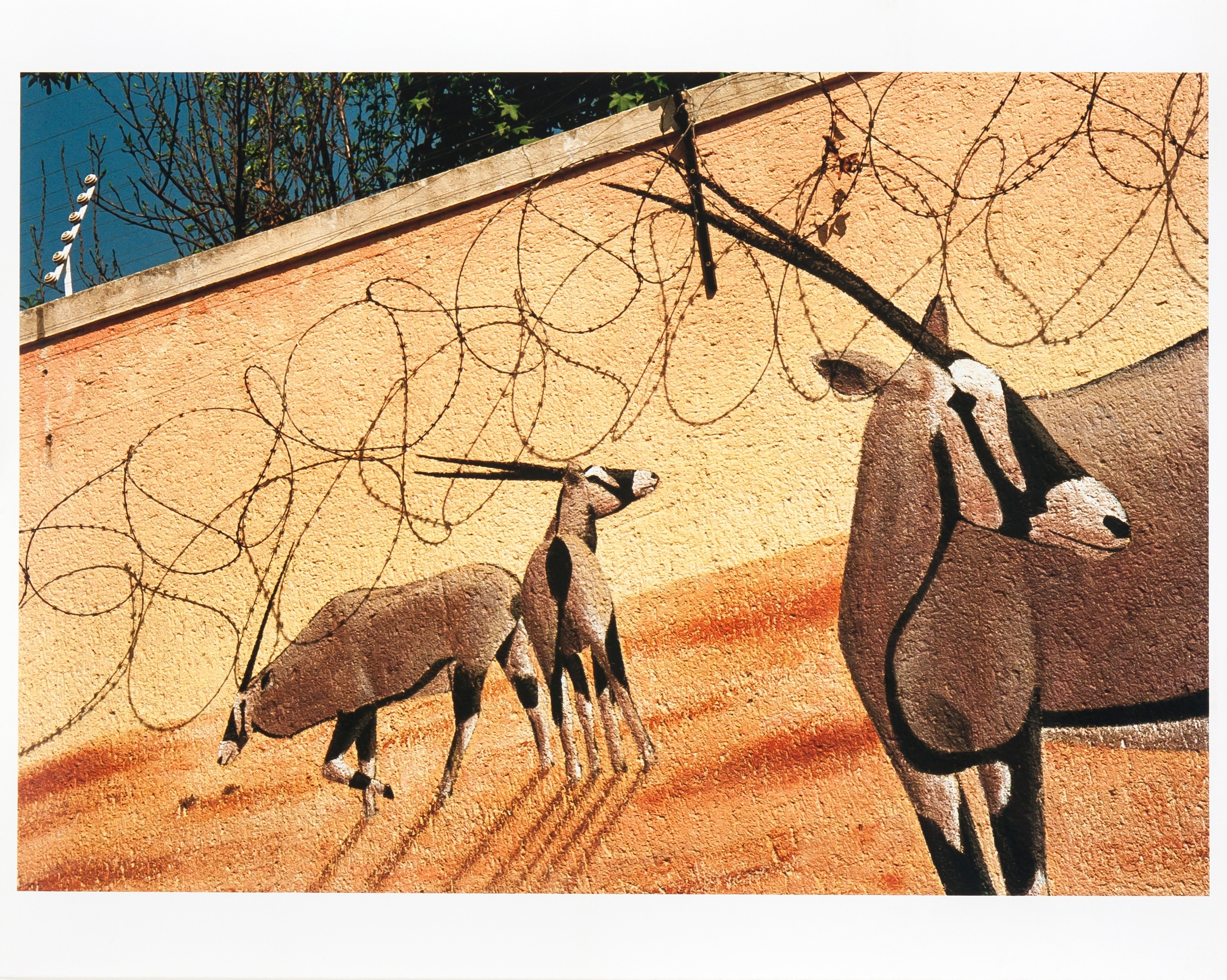 Graeme Williams | Mural of South African oryx | MutualArt