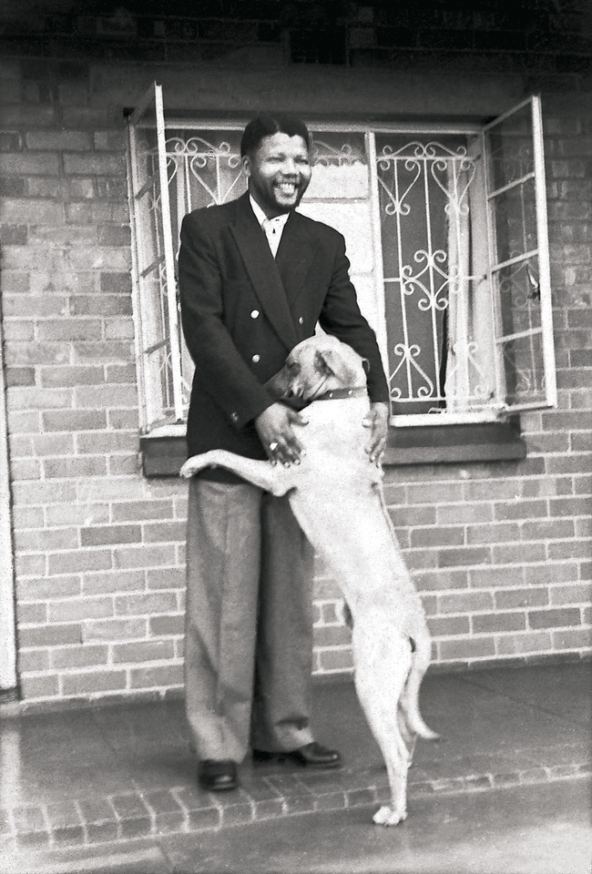 Alf Kumalo | Nelson Mandela outside his house in Soweto with his dog ...