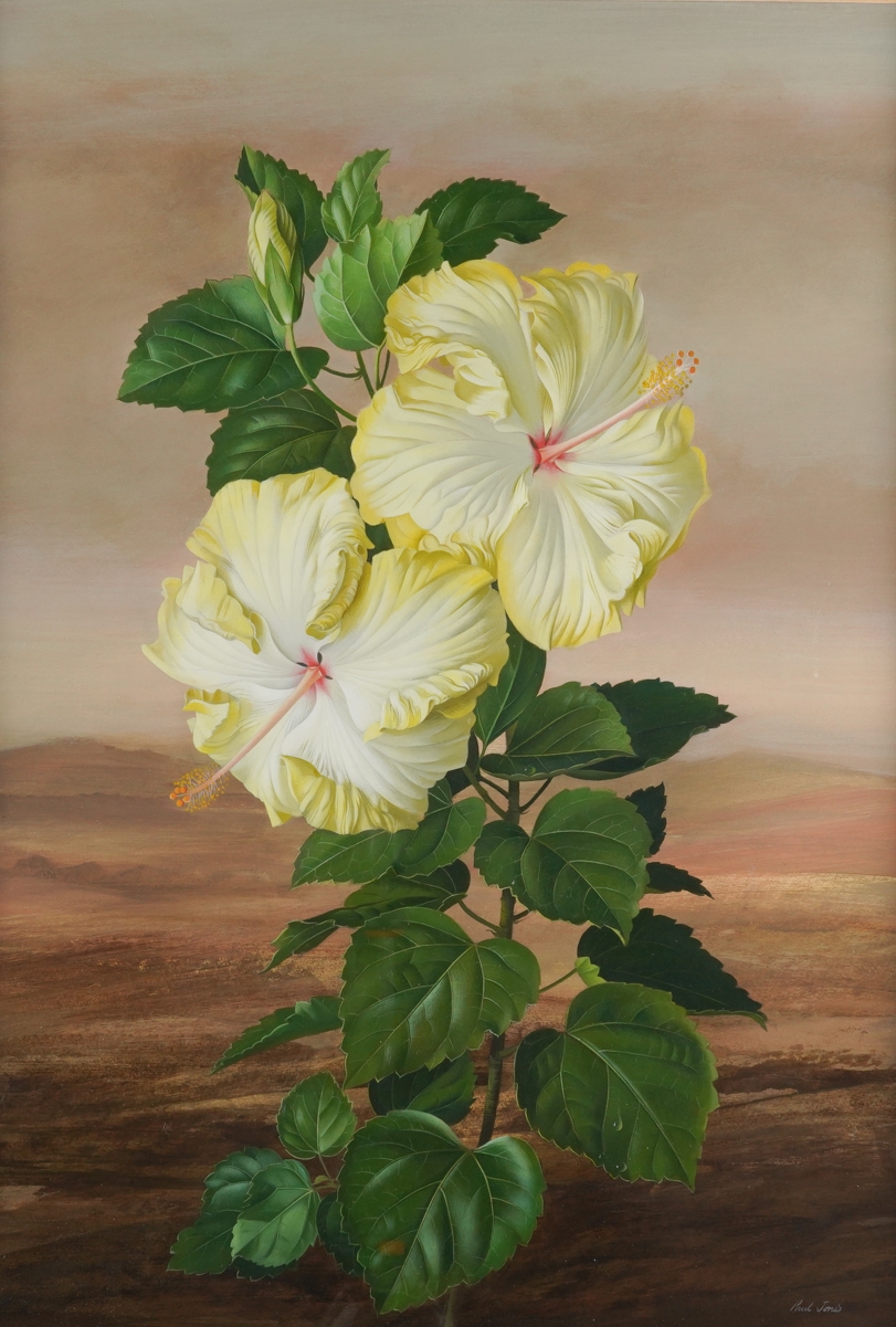 Paul Osborne Jones | Hibiscus Cameo | MutualArt