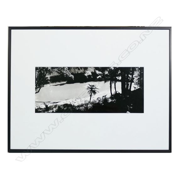 Anne Noble | Tree Fern Arimatea Wanganui River (Circa 1982) | MutualArt