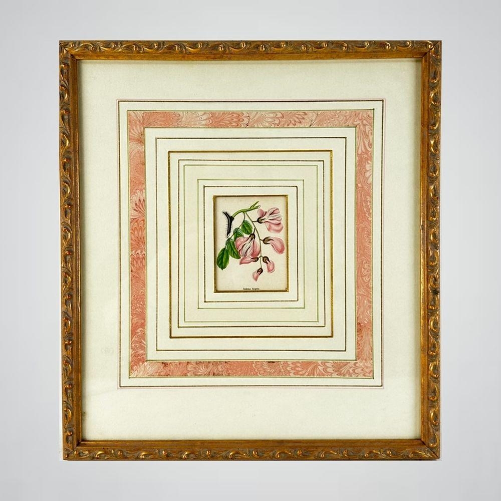 Benjamin Roubaud | Robinia Hispida | MutualArt