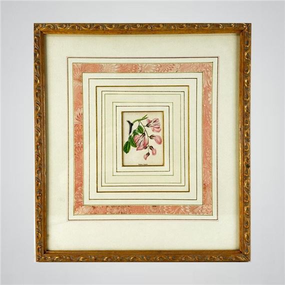 Benjamin Roubaud | Robinia Hispida | MutualArt