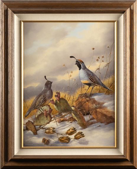 Rudi Reichardt | Gambel Quail | MutualArt
