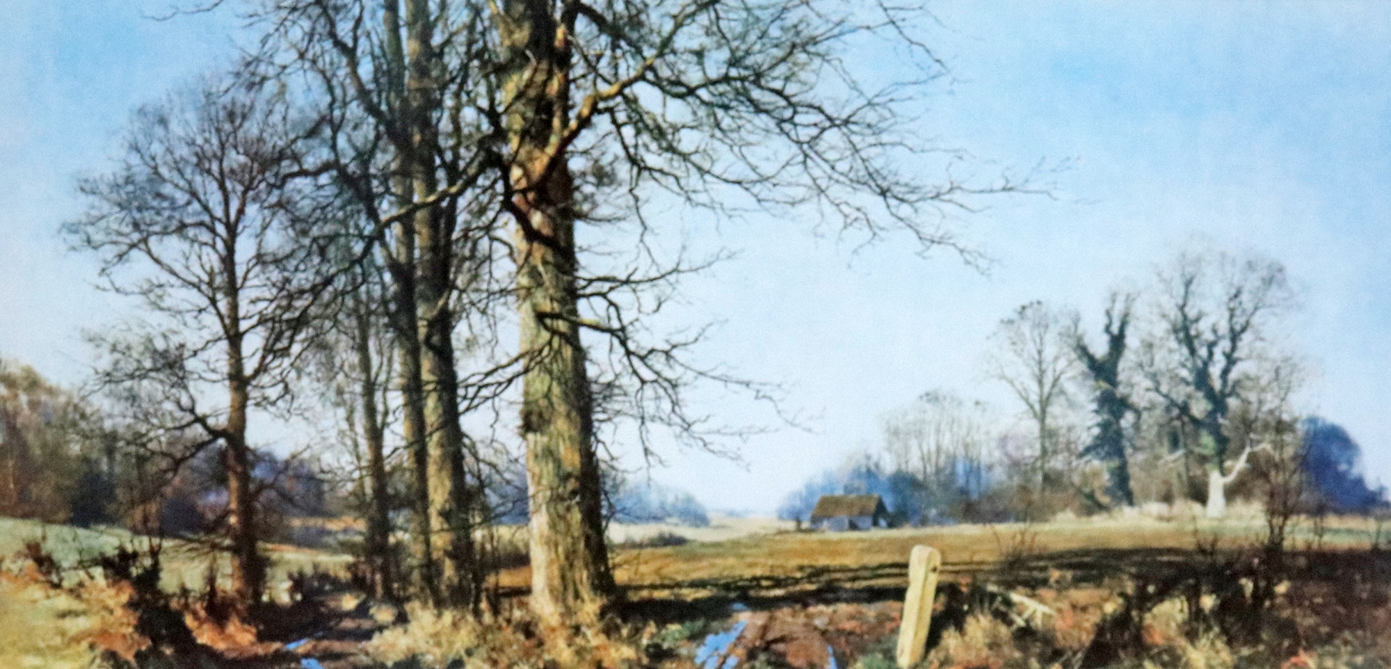 David Shepherd | LANDSCAPE WITH TREES | MutualArt