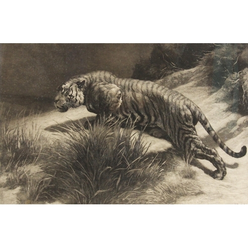 Herbert Thomas Dicksee | The Startled Tiger (1919) | MutualArt