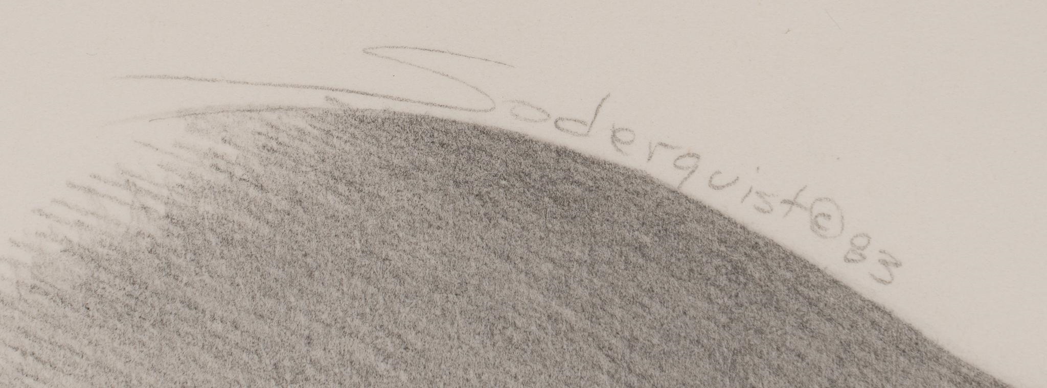 Ellen Soderquist | Sol del Rio (1983) | MutualArt