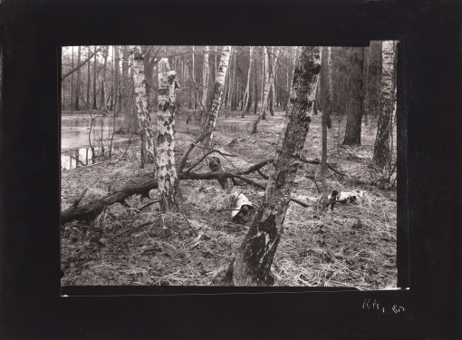 Petr Helbich | Klánovice, 1980 (1980) | MutualArt