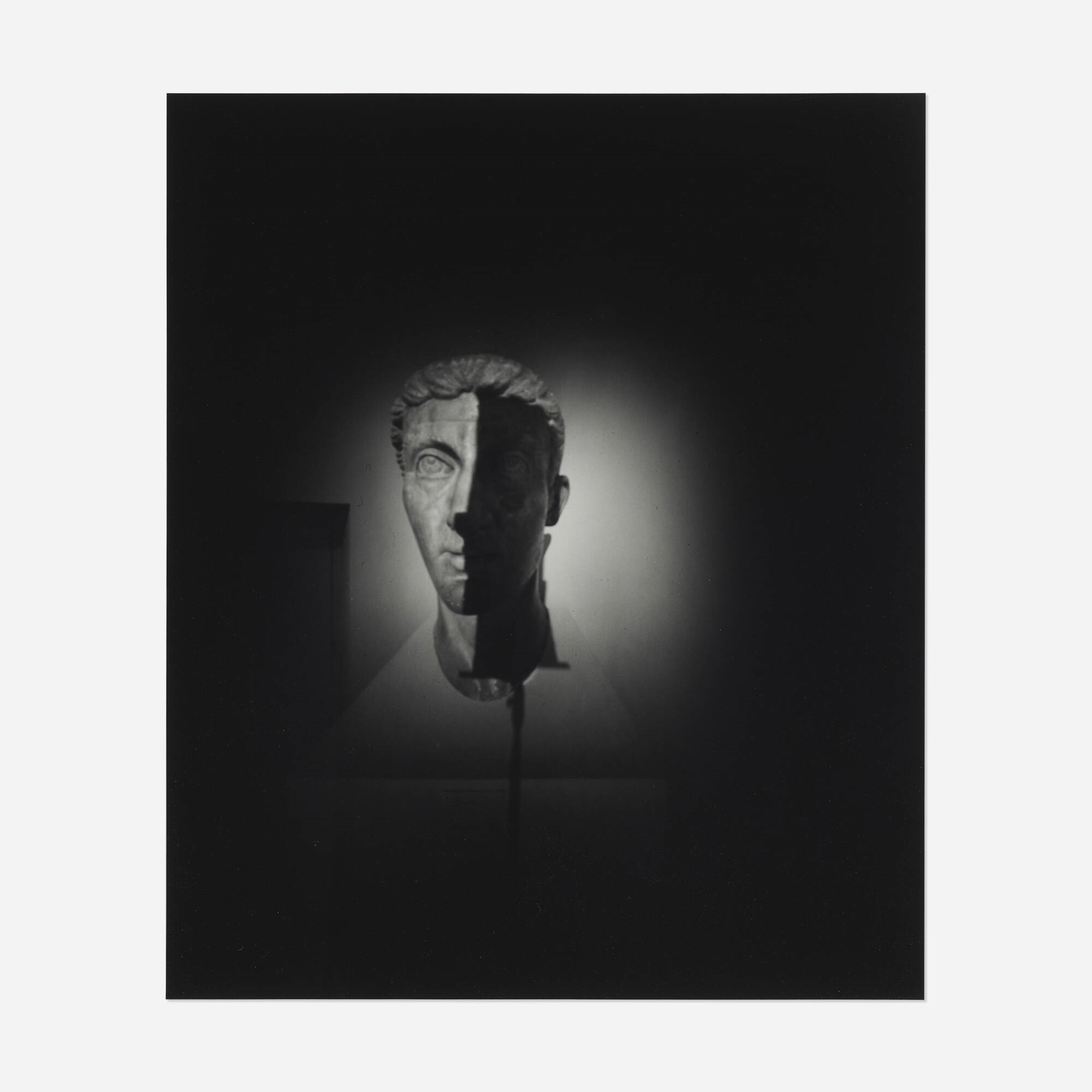 Adam Fuss | Untitled (Large Flowers, Plants) (1994) | MutualArt