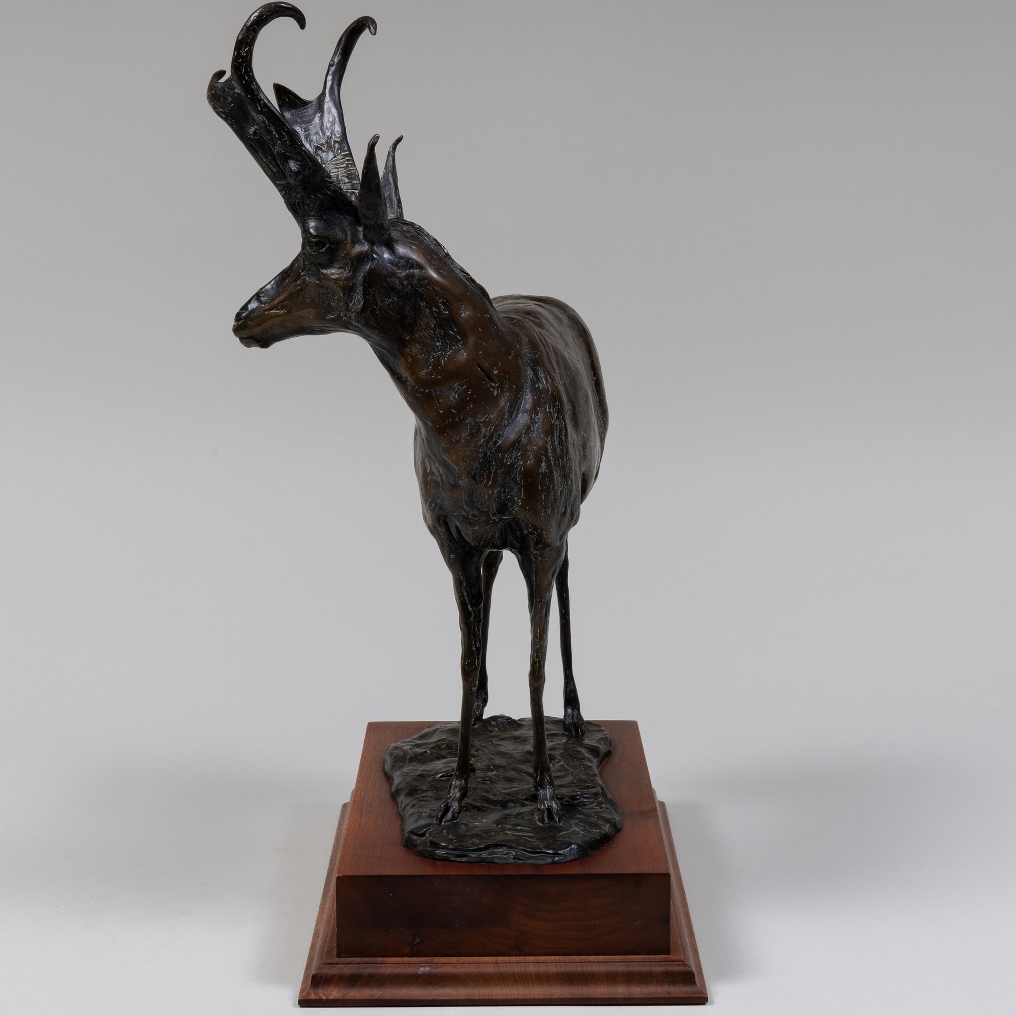 George Northup | Elk | MutualArt