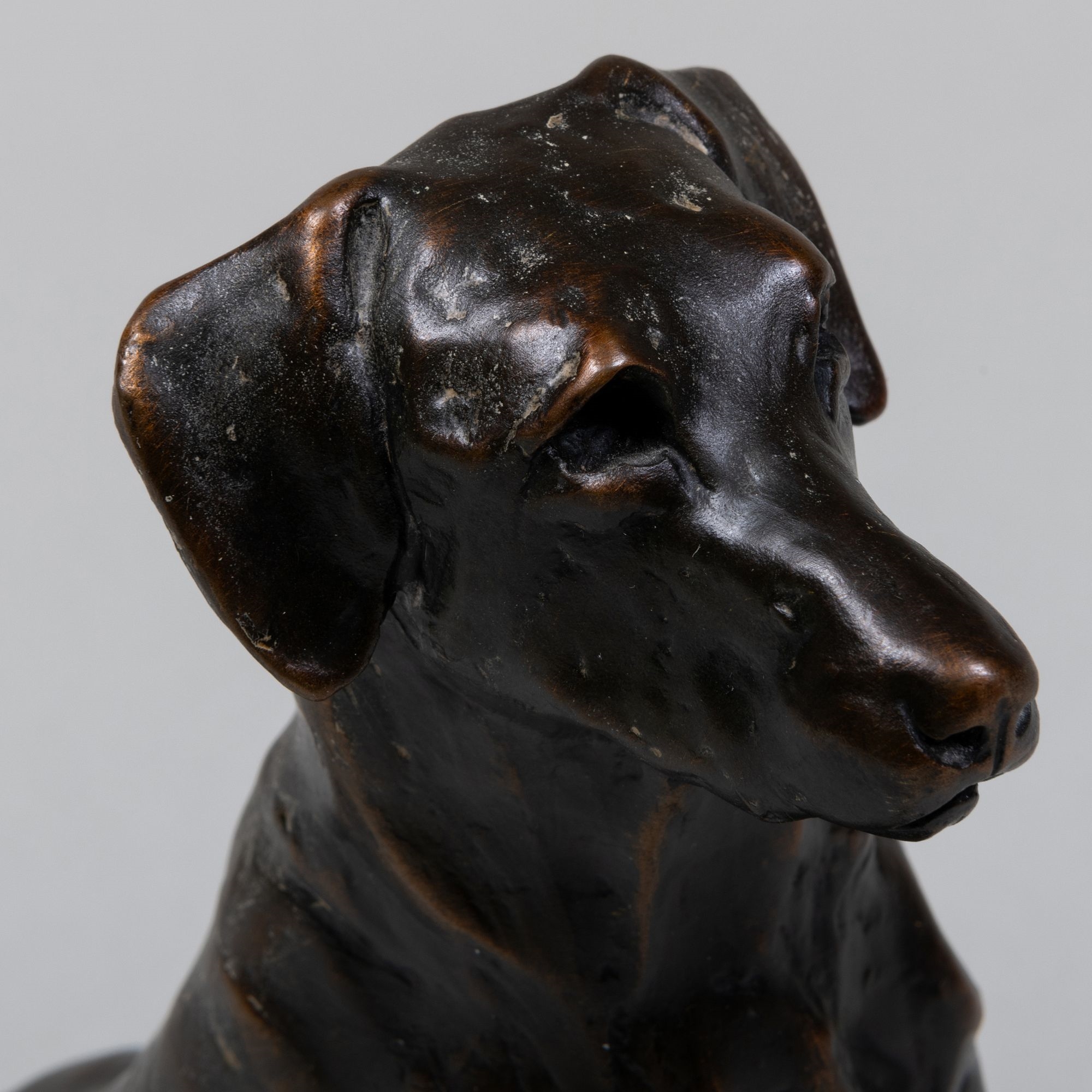 George Northup | Standing Labrador | MutualArt