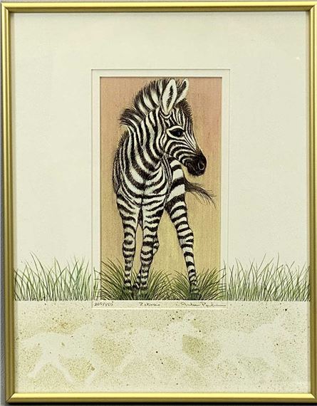 Julie Peelen | JULIE PEELEN limited edition colour prints | MutualArt