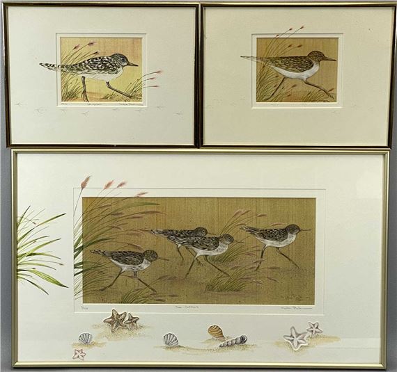 Julie Peelen | JULIE PEELEN limited edition colour prints | MutualArt