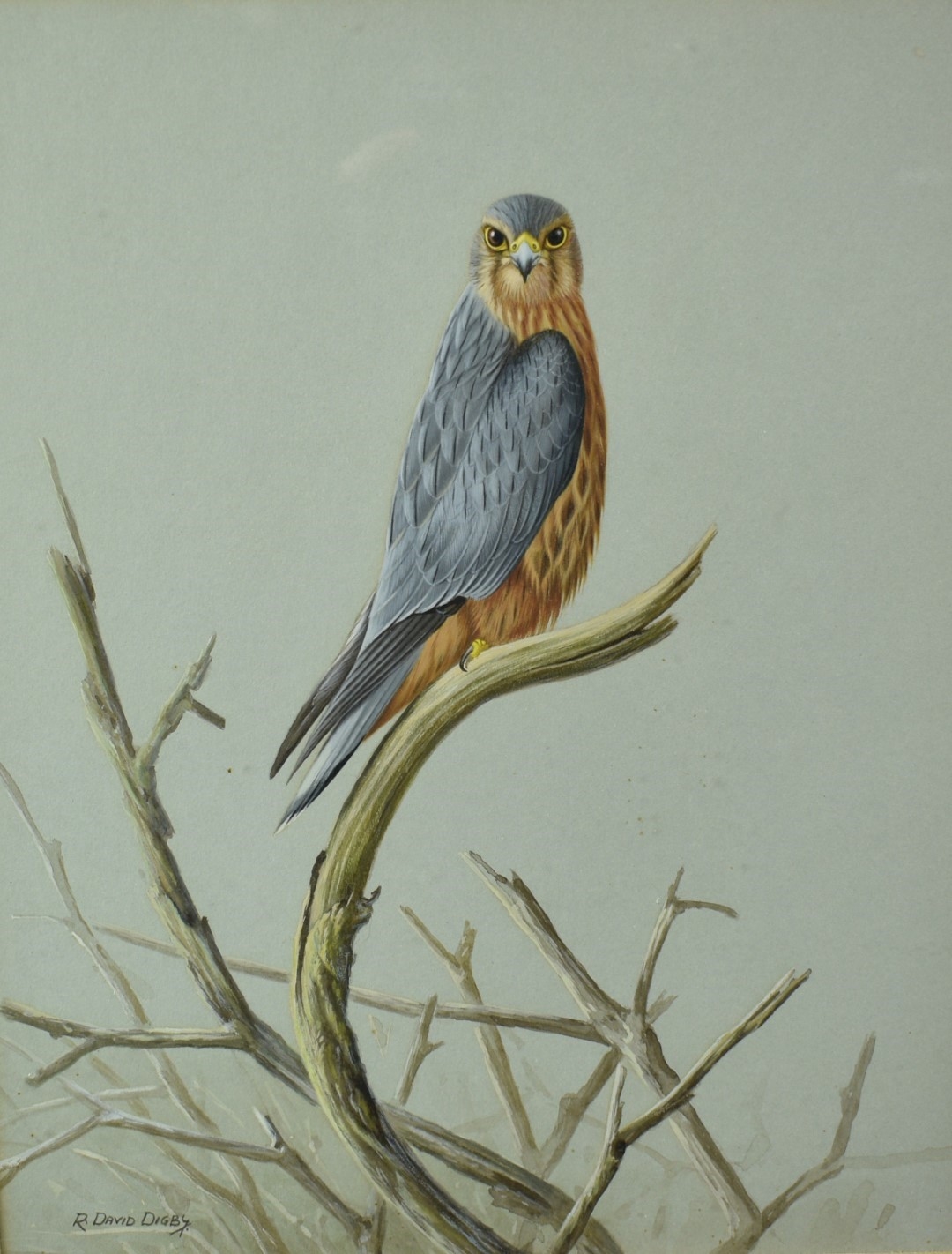 R. David Digby | Kestrel | MutualArt
