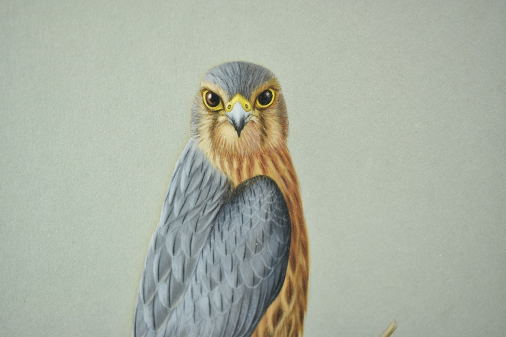 R. David Digby | Kestrel | MutualArt
