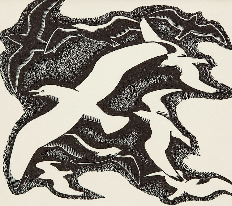 Edwin Holgate | Gulls | MutualArt