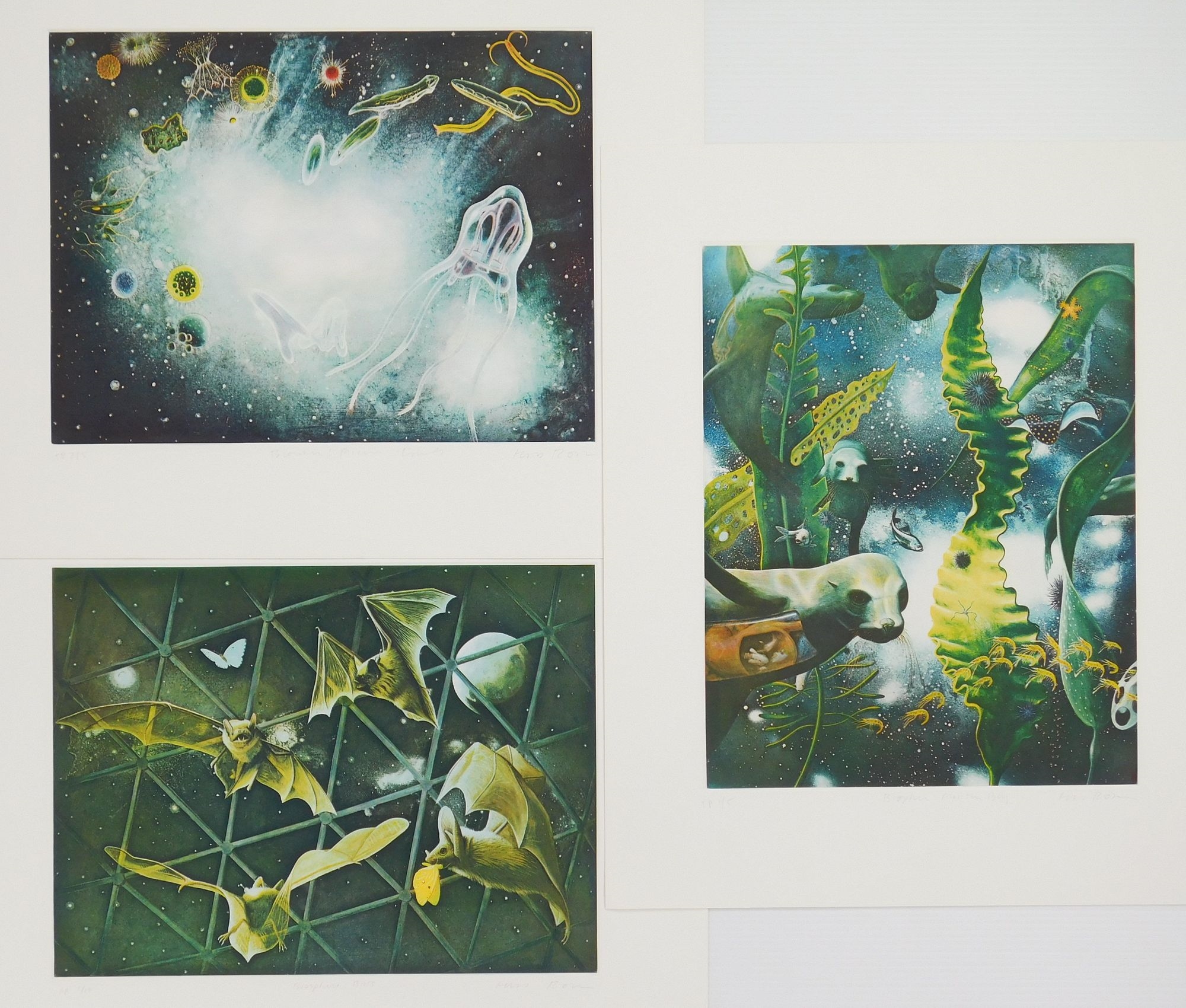 Alexis Rockman | Biosphere | MutualArt