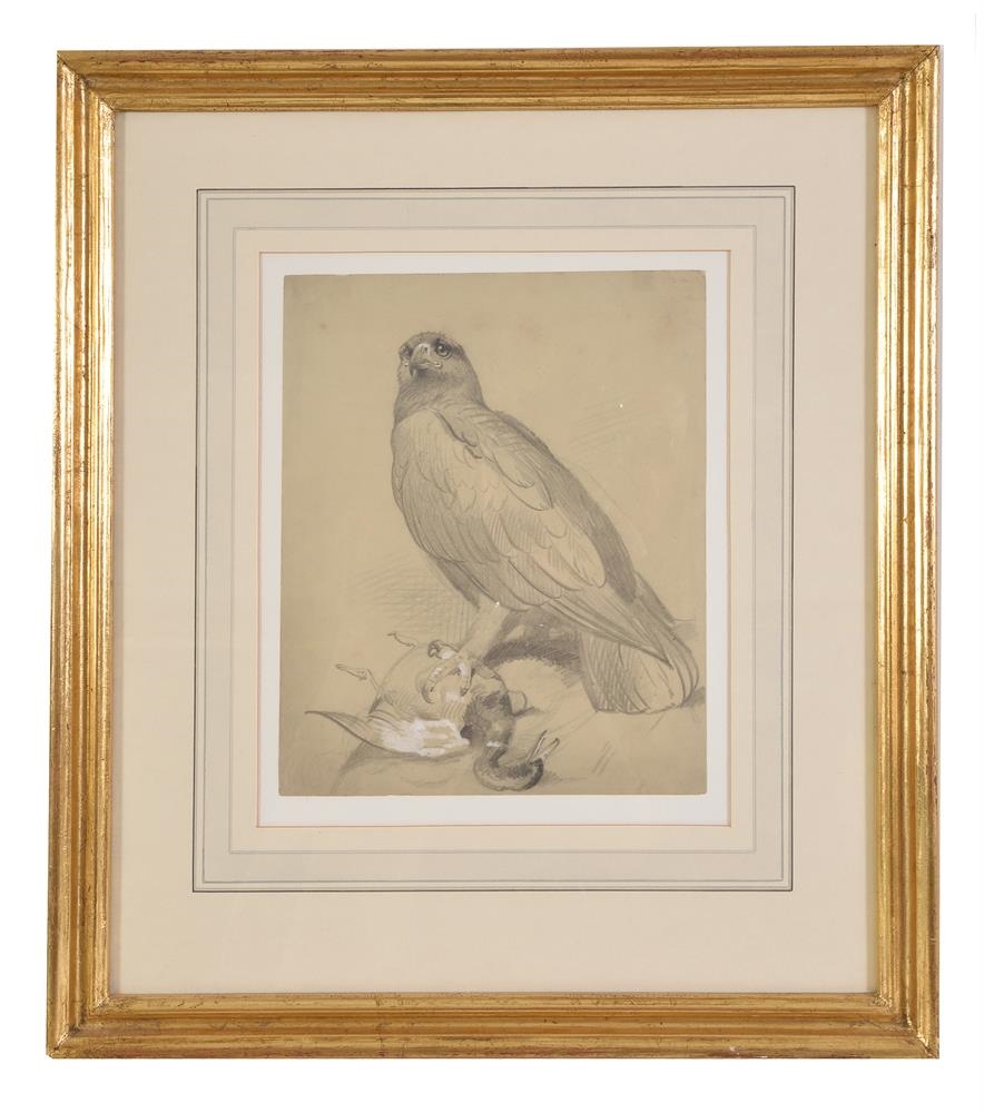 Archibald Thorburn | GOLDEN EAGLE WITH A MALLARD | MutualArt