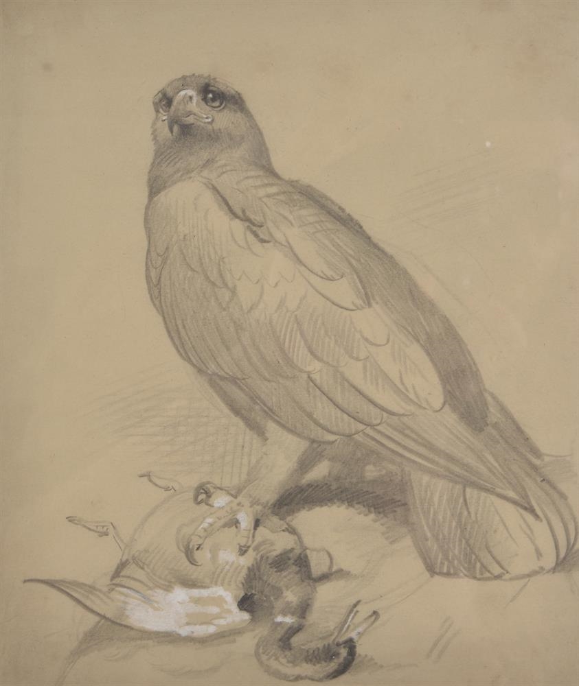 Archibald Thorburn | GOLDEN EAGLE WITH A MALLARD | MutualArt