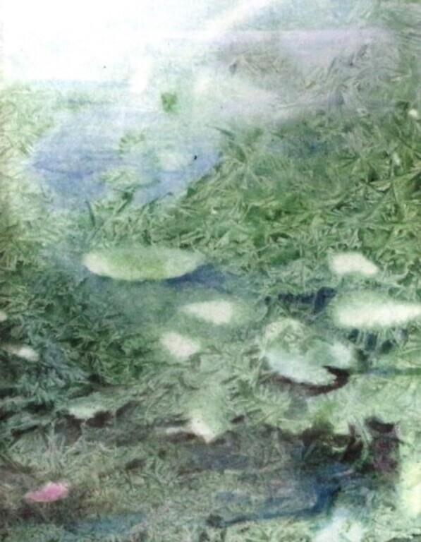 Ruth Edwards | Triptych of water lillies | MutualArt