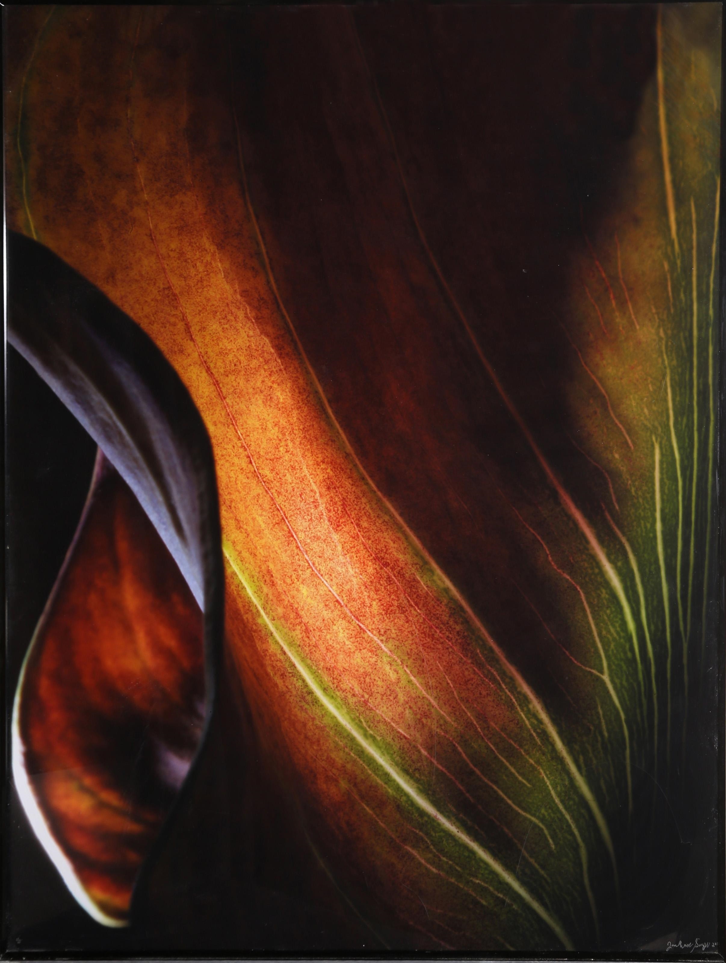 Jonathan Singer | AFRICAN LEA (2012) | MutualArt