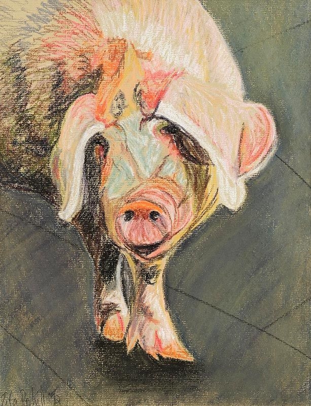 Zita Reihill | Pigs (1992) (1992) | MutualArt
