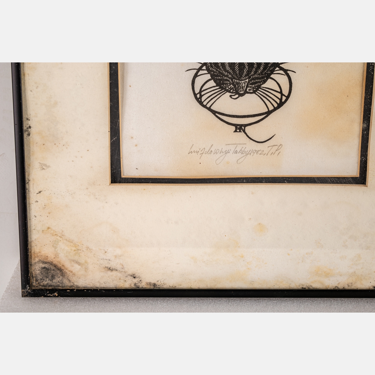 Jacques Hnizdovsky | Spider Plant ,center and Tabby (1976) | MutualArt