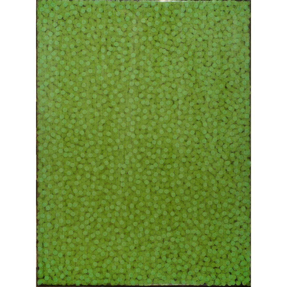 Charles Linder | Grasshopper (2009) | MutualArt