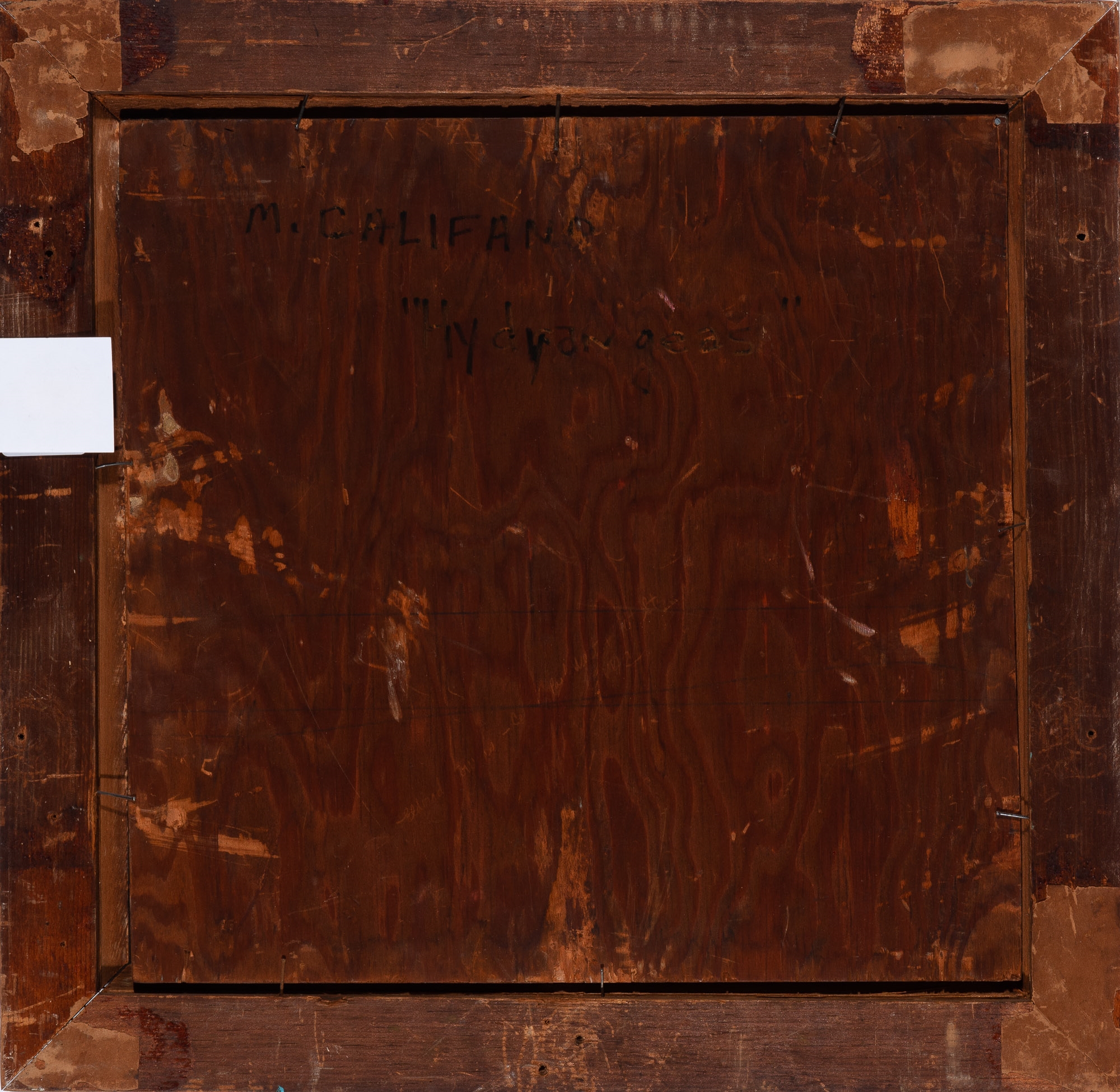 Michael Califano | Hydrangeas and Landscape | MutualArt