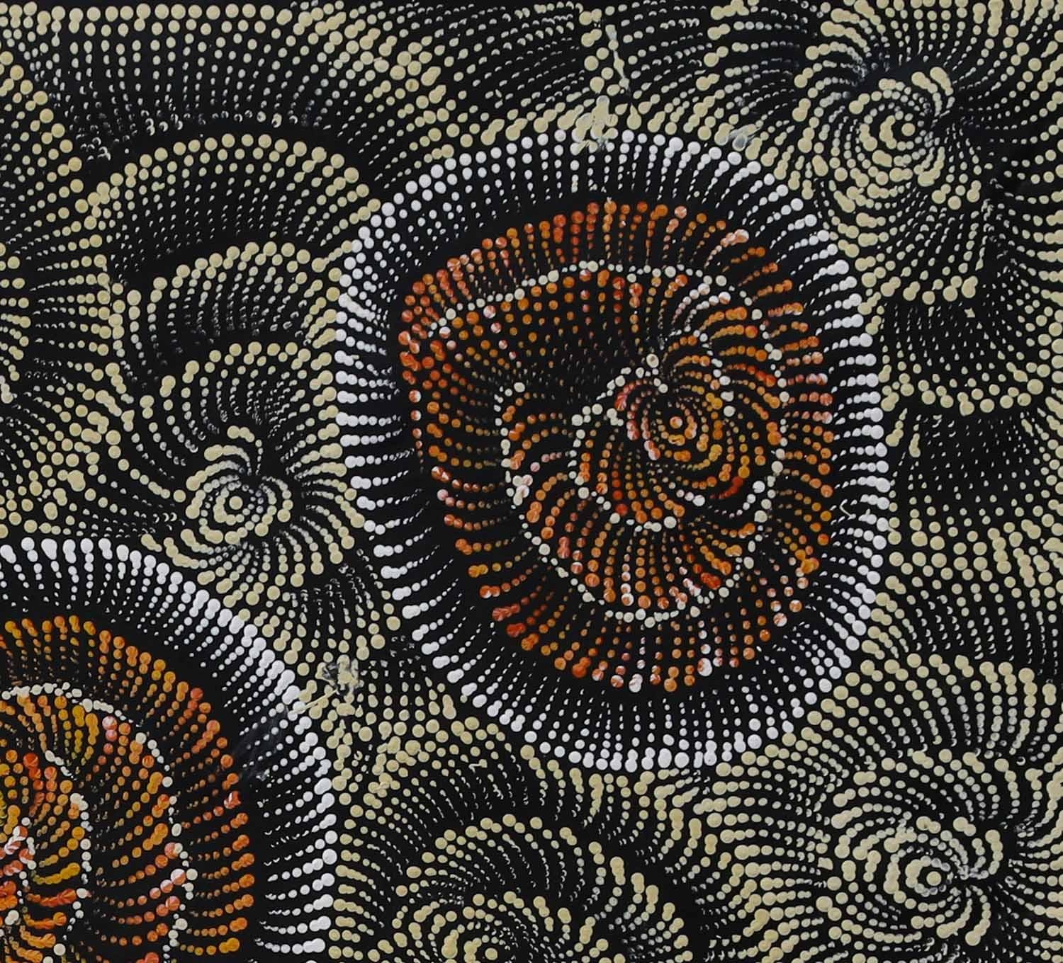 Maria Brown Nampitjinpa | Flying Ant Dreaming | MutualArt