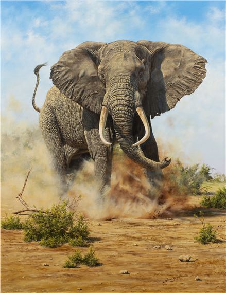Steve Burgess | African Elephant | MutualArt