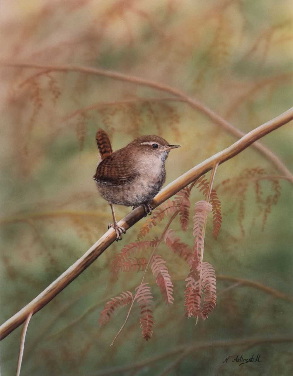 Nigel Artingstall | Wren | MutualArt