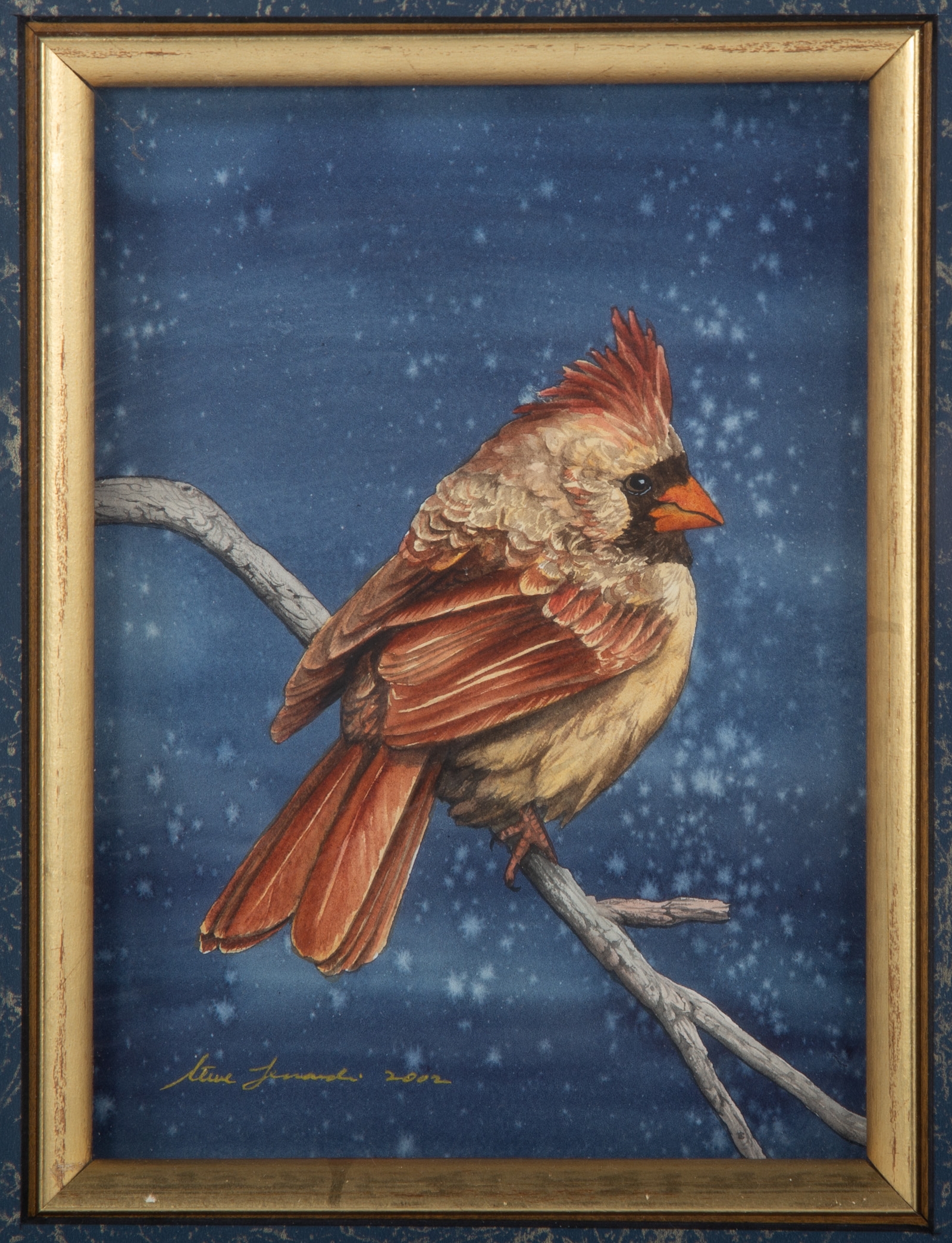 Steve Leonardi | Female Cardinal | MutualArt