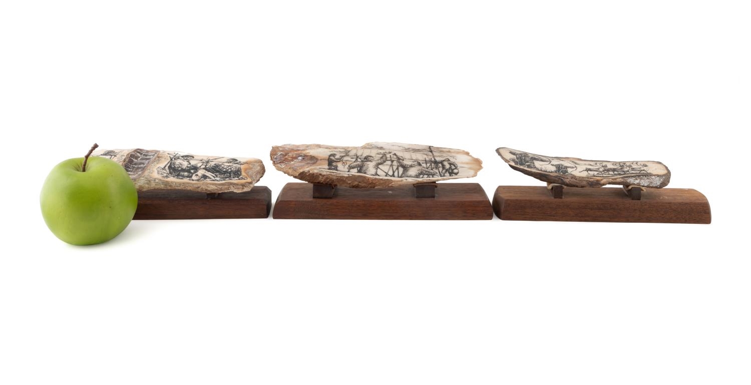 Geoff Olson | FOSSIL WALRUS SCRIMSHAW (1956) | MutualArt