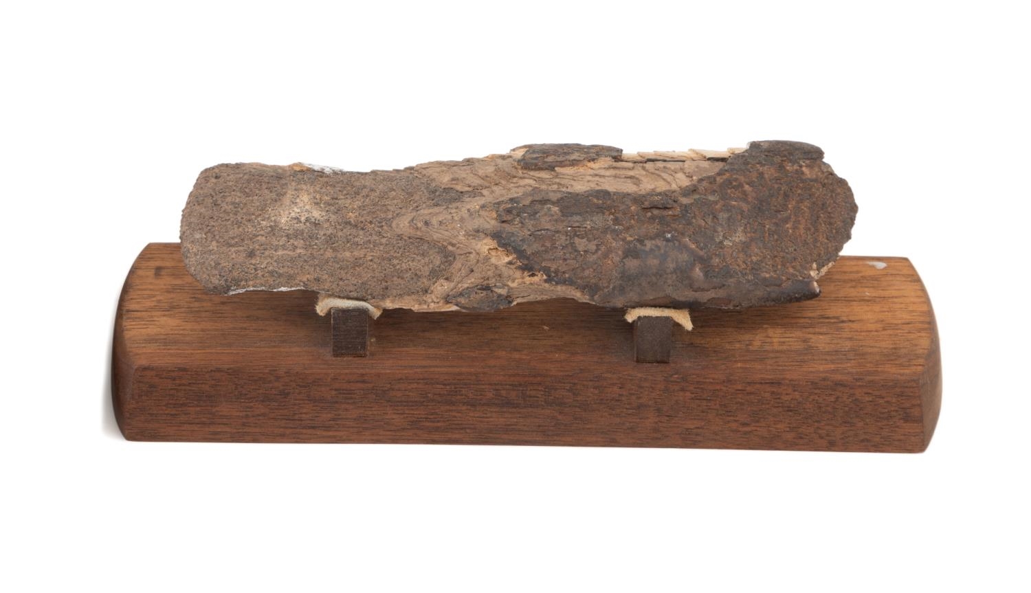 Geoff Olson | FOSSIL WALRUS SCRIMSHAW (1956) | MutualArt