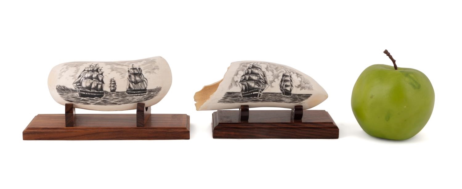Linda Layden | scrimshaw whale's teeth with custom stands (1943 ...