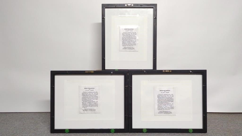 Allan I. Teger | Bodyscape Photographs | MutualArt
