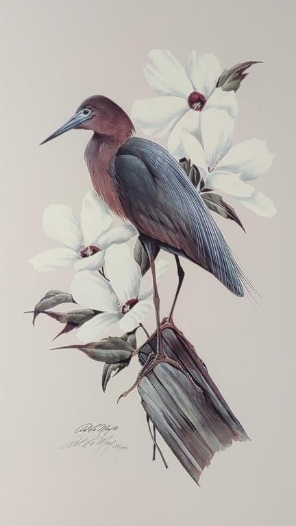 Art Lamay | Heron Prints | MutualArt