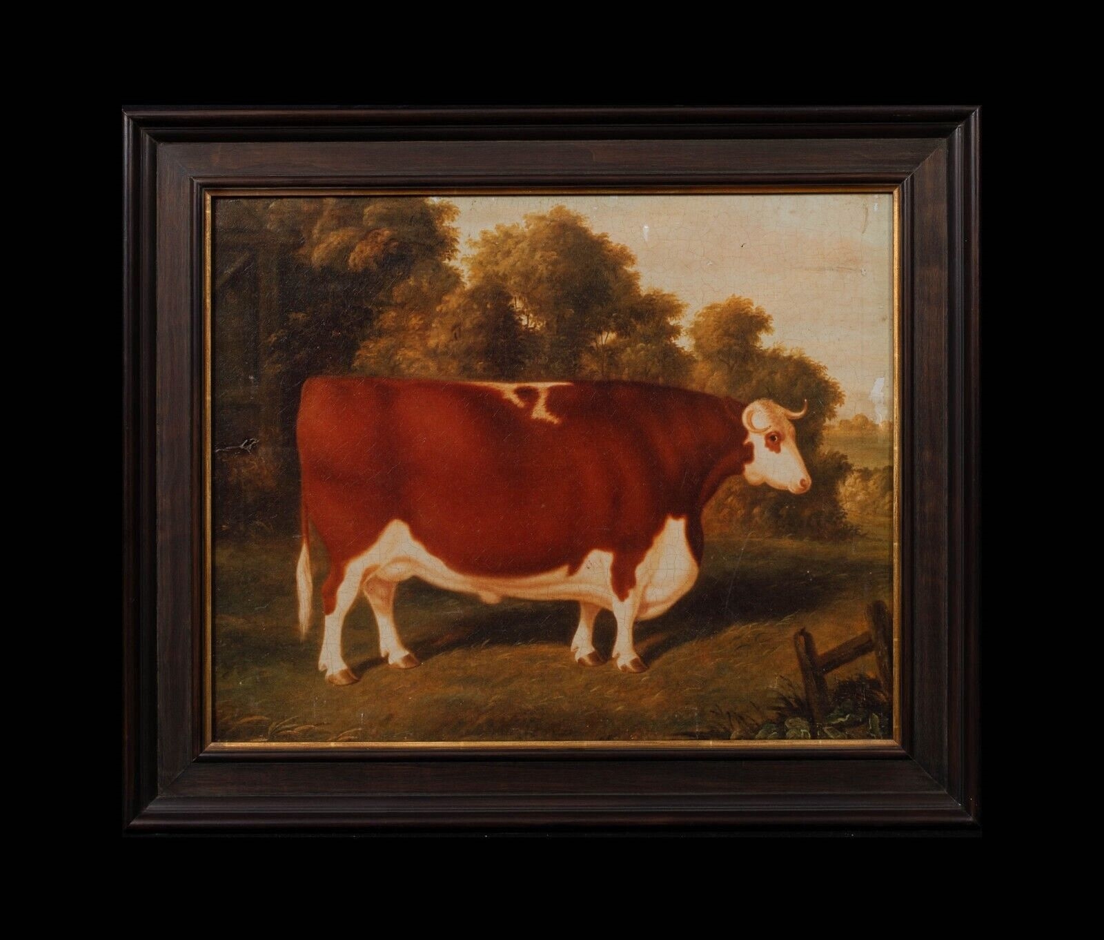English School, 19th Century | PORTRAIT OF A PRIZE HEREFORD BULL OIL ...