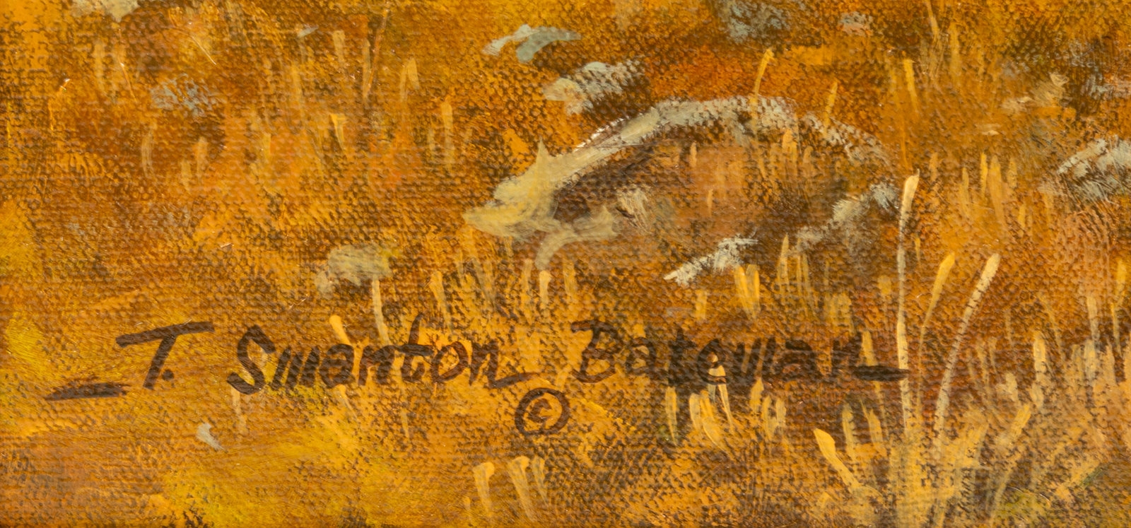 Terry Swanton Bateman | From the Bedgrounds | MutualArt