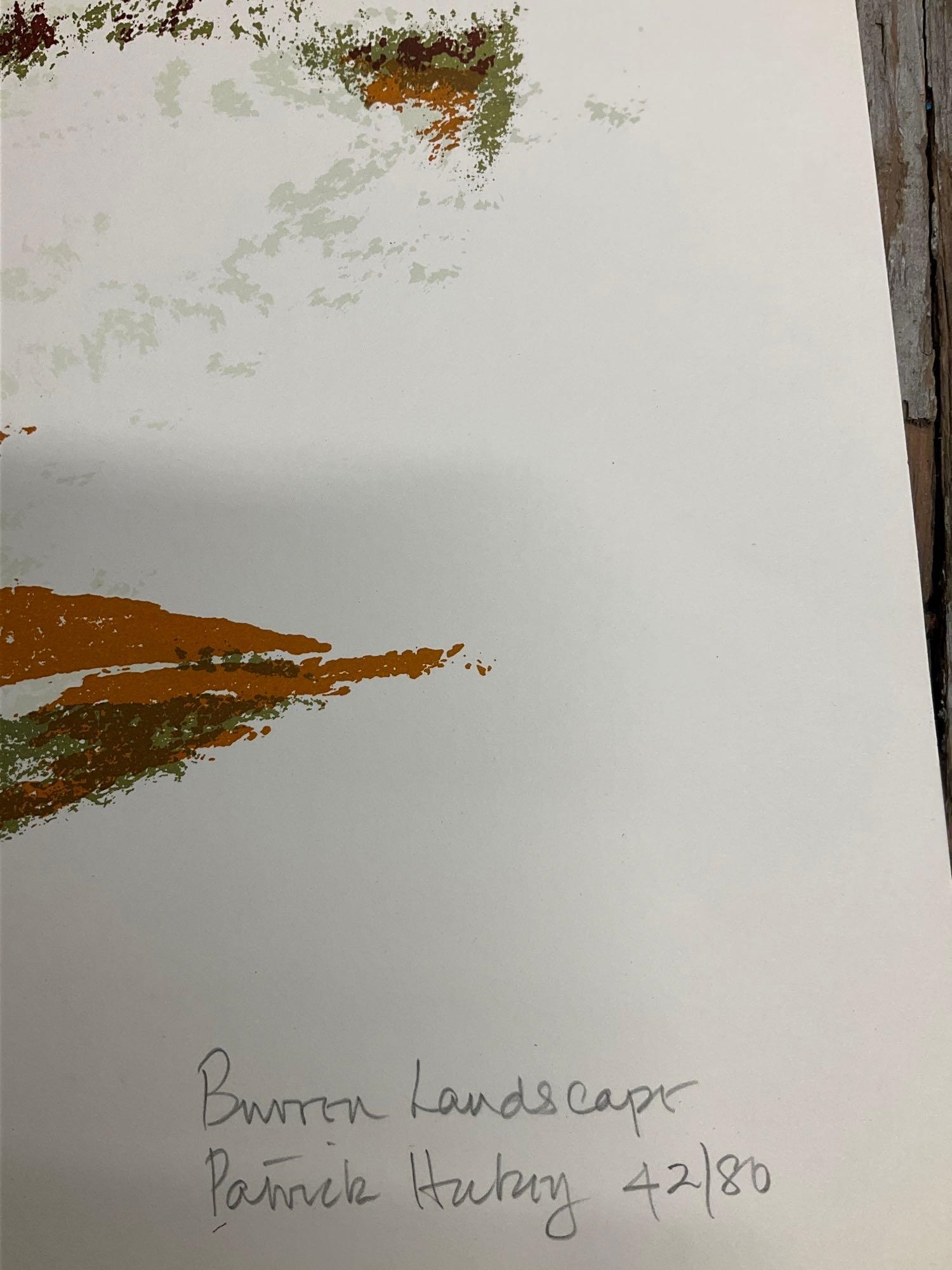 Patrick Hickey | Burren Landscape | MutualArt