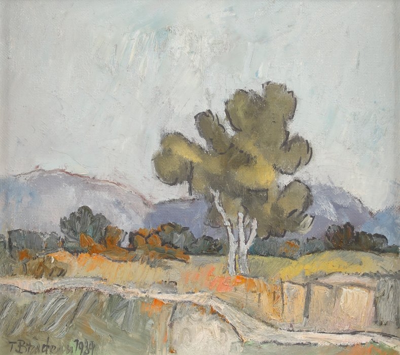 Traian Brădean | Peisaj de vară | MutualArt