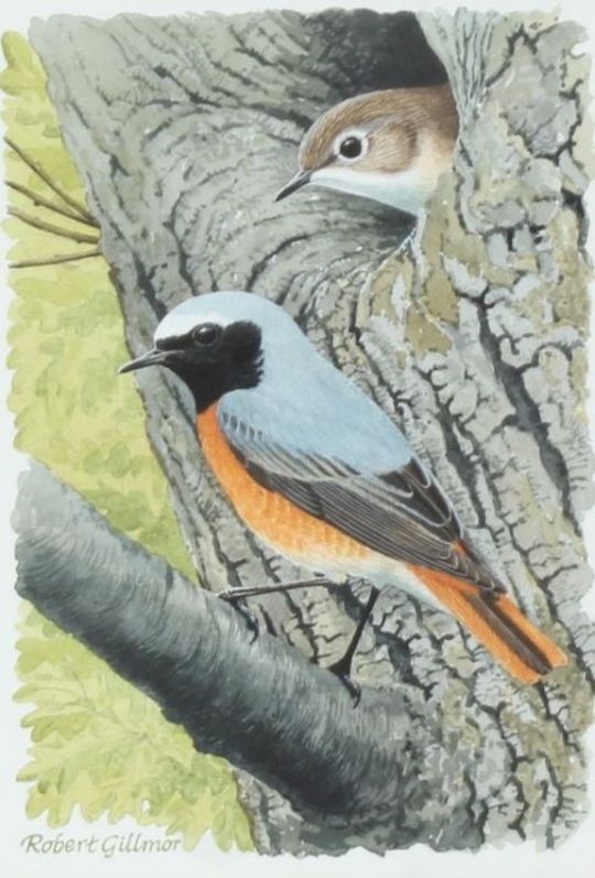 Robert Gillmor | Buzzard (1993) | MutualArt