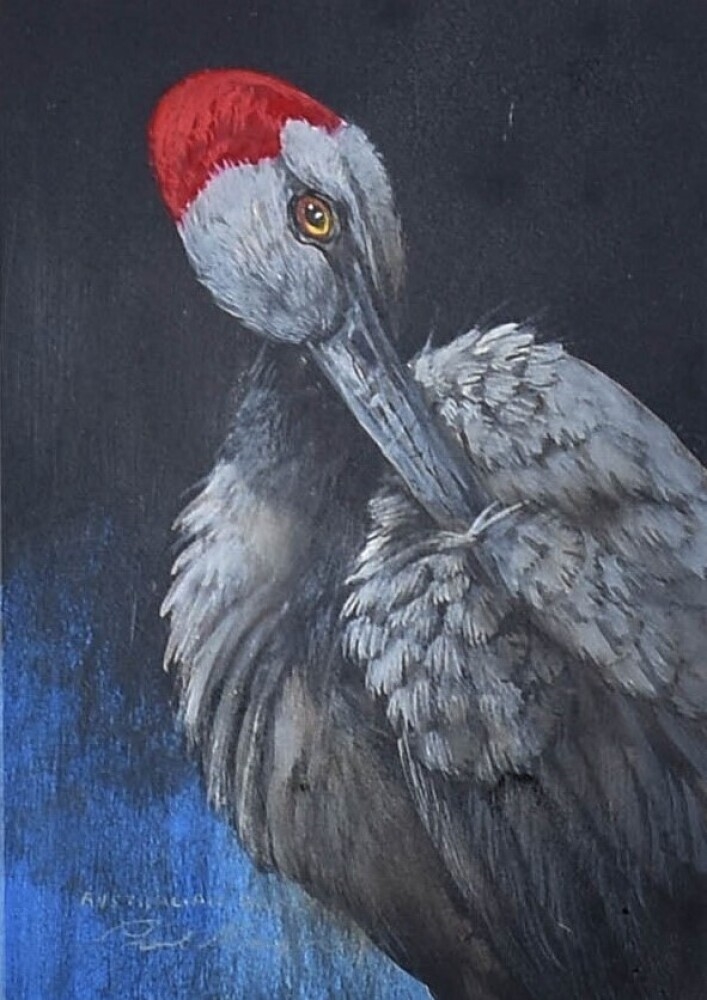Paul Margocsy | Australian Brolga signed | MutualArt