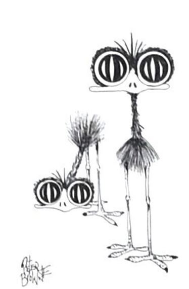 Peter Browne | Two Emus | MutualArt