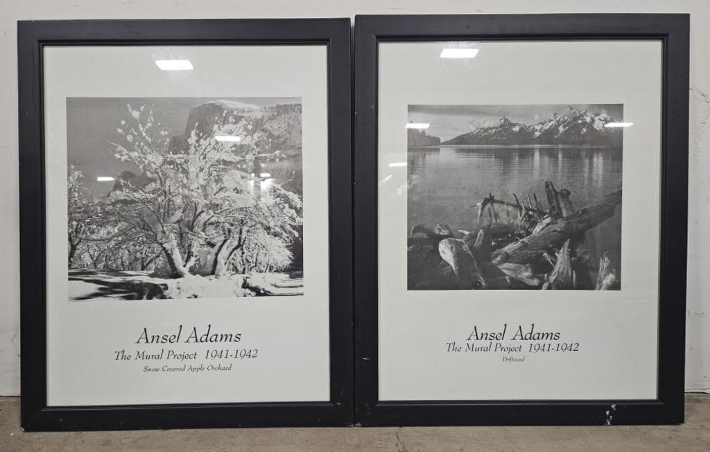 Ansel Adams | Mural Project | MutualArt