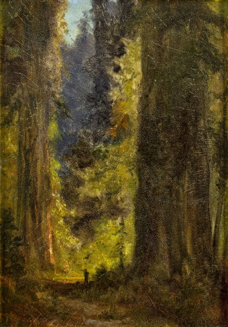 Gordon Coutts | Forest Landscape | MutualArt