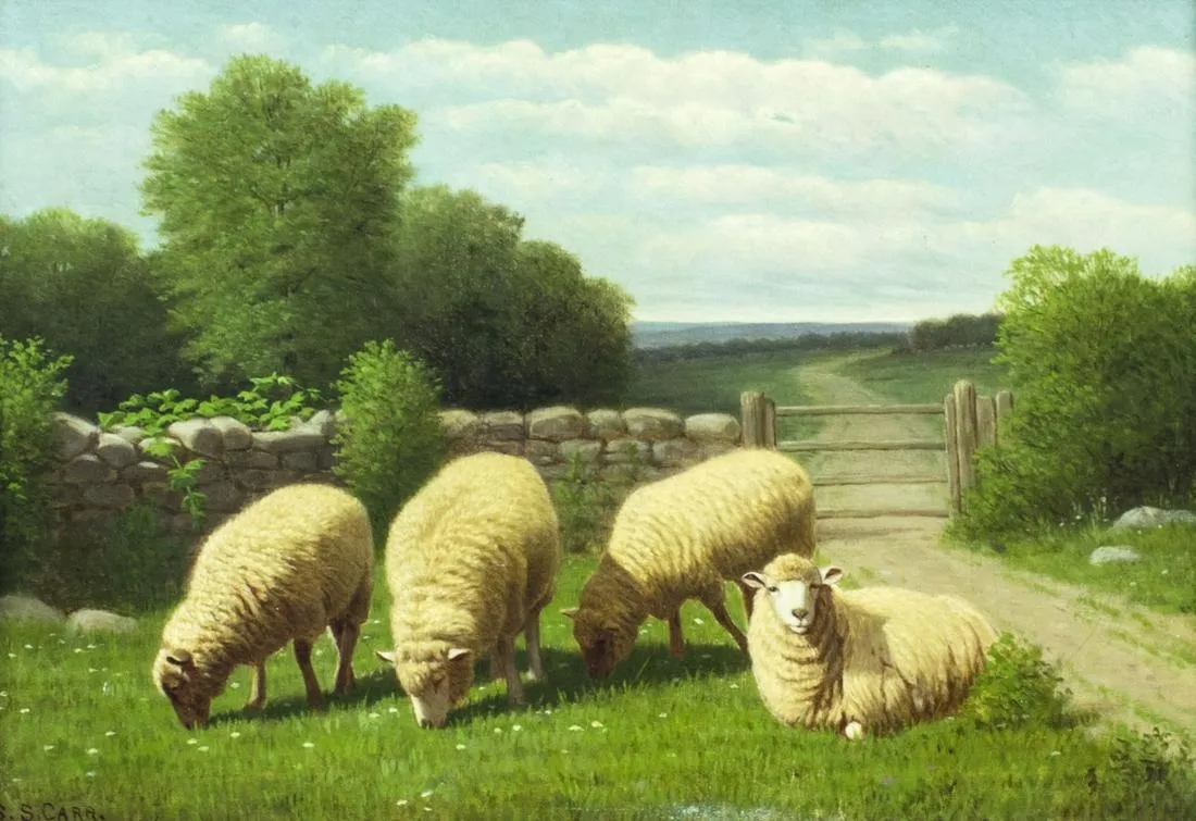 Samuel S. Carr | Sheep by the Lane | MutualArt