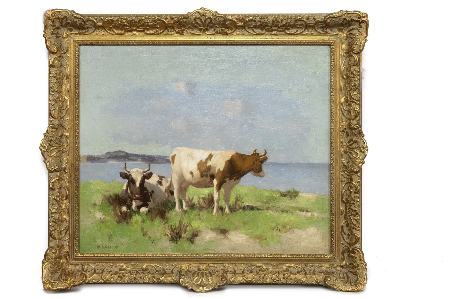 David Gauld | AYRSHIRE CATTLE LOOKING OUT TO SEA | MutualArt