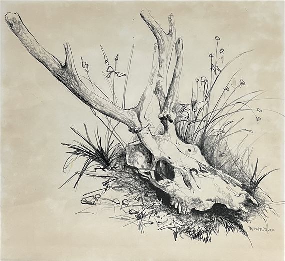 Peter McIntyre | Deer Skull | MutualArt